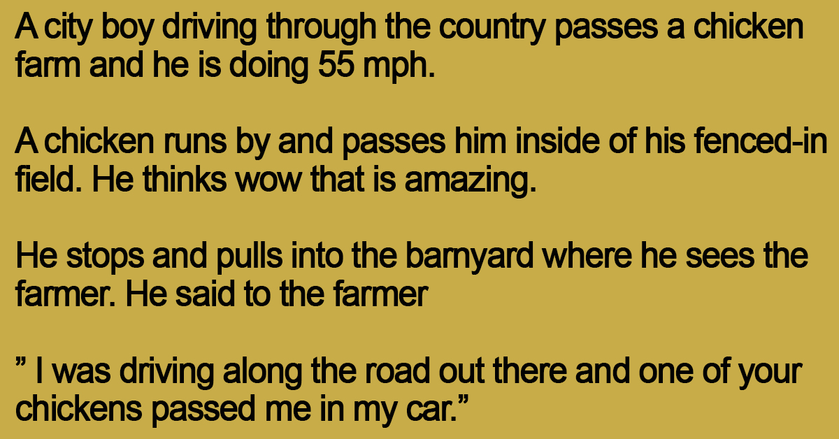 A City Boy Driving Through The Country - Top Stories