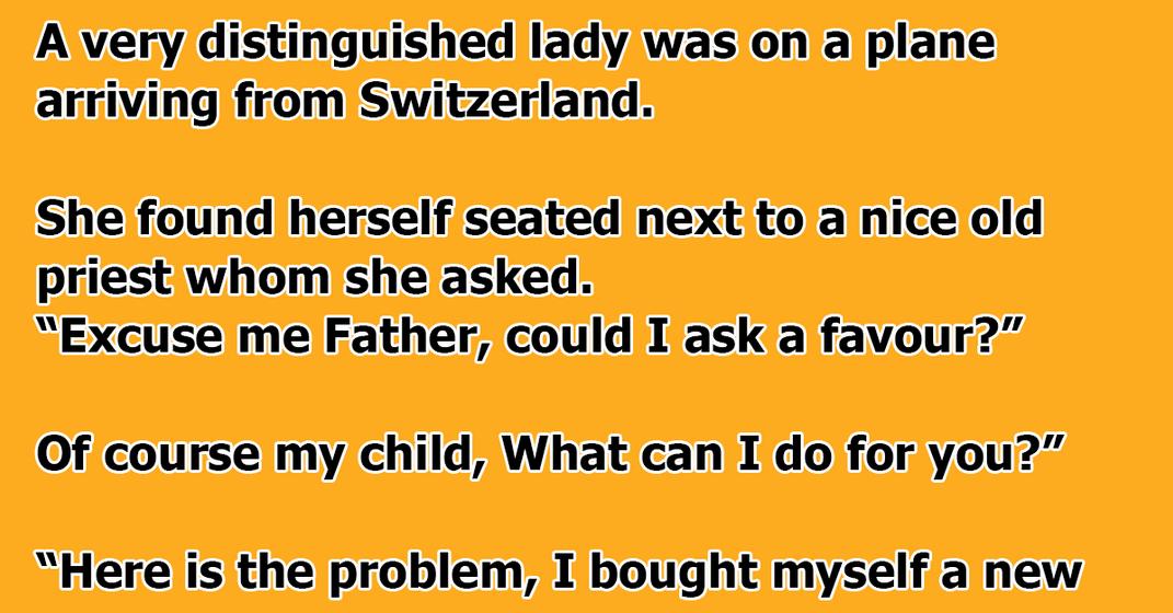 A Very Distinguished Lady Was On A Plane Arriving From Switzerland ...