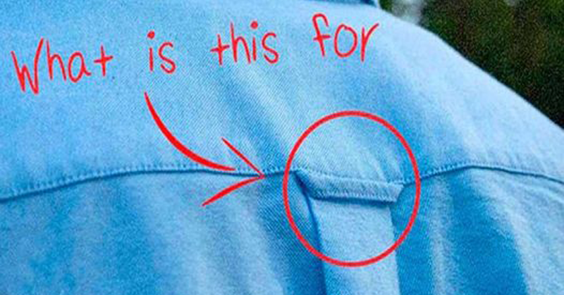 Why Button-Down Shirts Have Loops On the Back - Top Stories