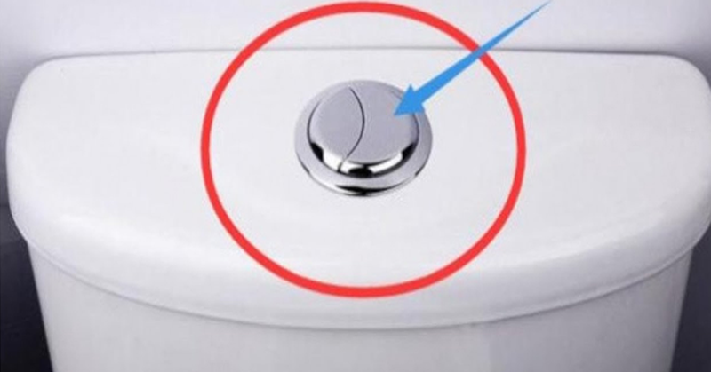 Many people still think that these 2 buttons is just for flushing - Top Stories
