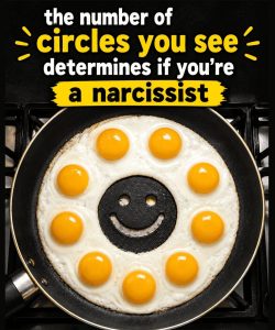 How Many Circles Do You See? A Fun Visual Puzzle That Tests Your ...